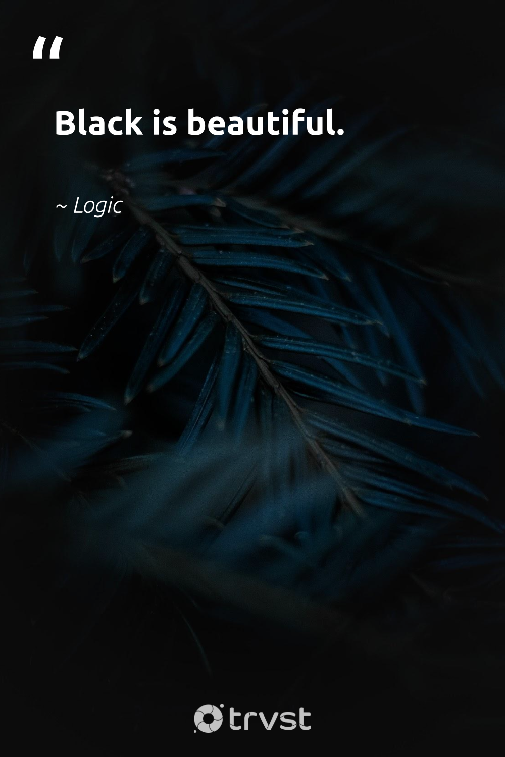 76 Black Color Quotes Reflecting on Dark Muted Tones (2025)