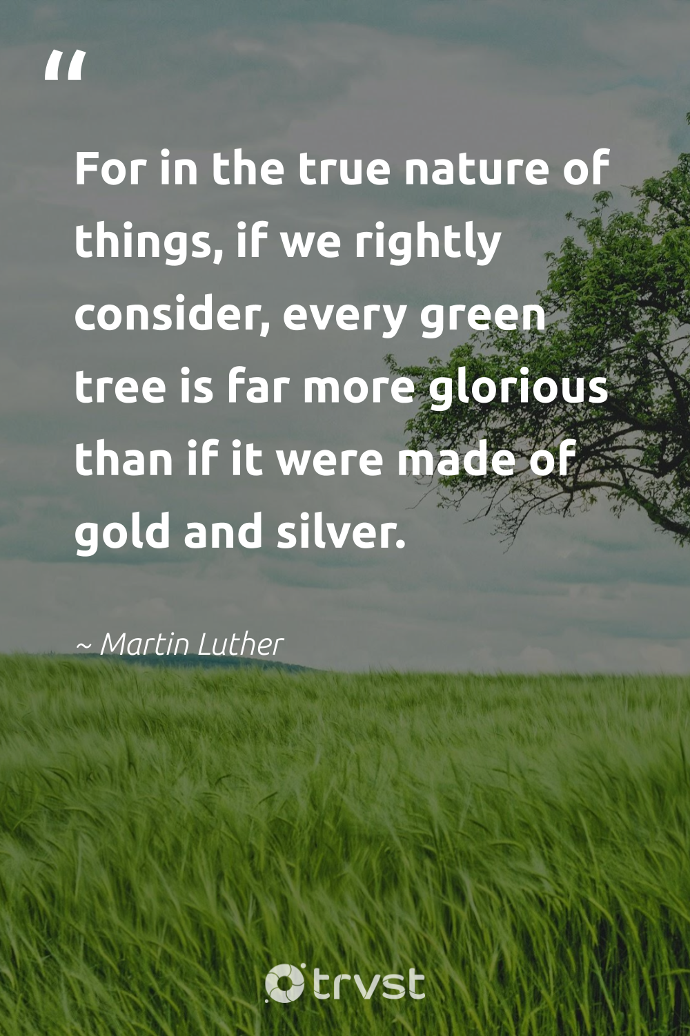 77 Green Quotes Inspiring Renewal & Conservation (2024)