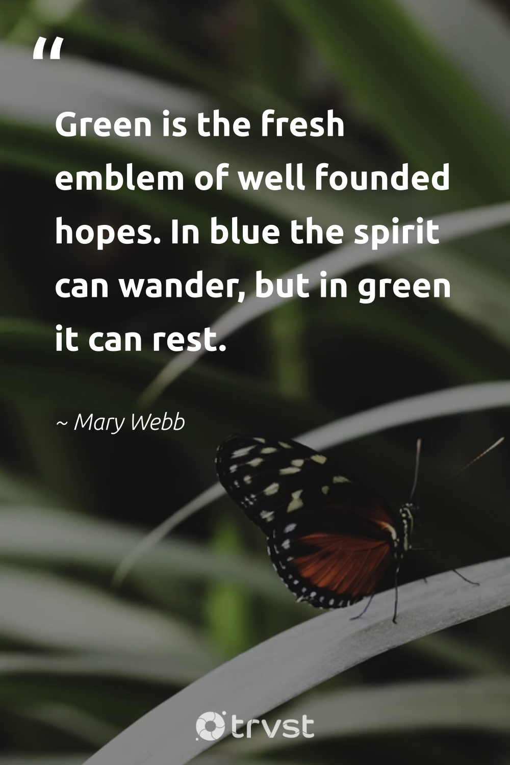 77 Green Quotes Inspiring Renewal & Conservation (2025)