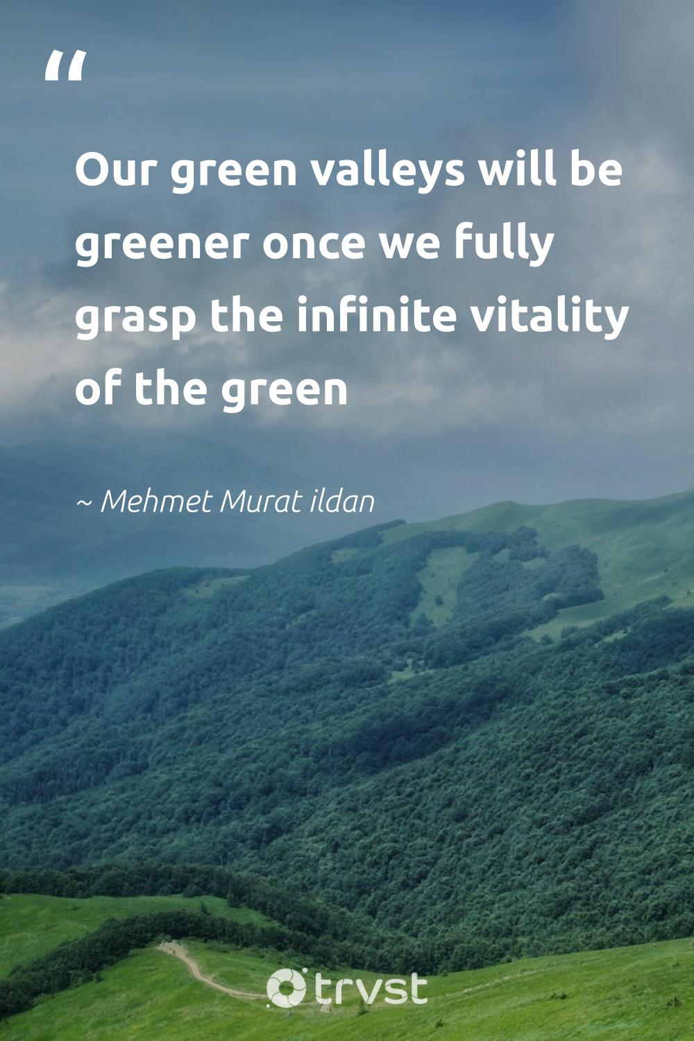 77 Green Quotes Inspiring Renewal & Conservation (2024)
