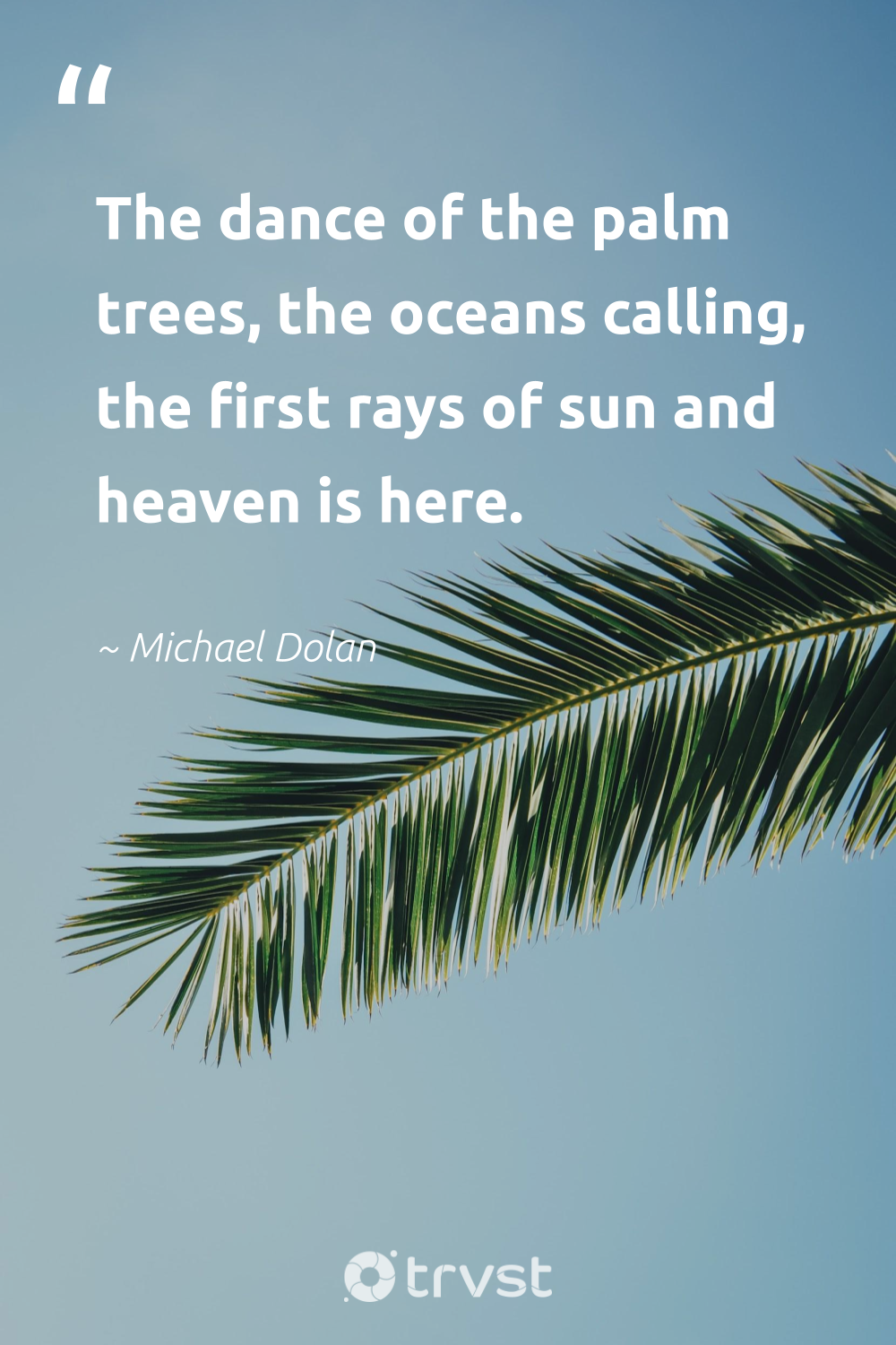 46 Palm Tree Quotes to Inspire Chilled Moments and Beach Time