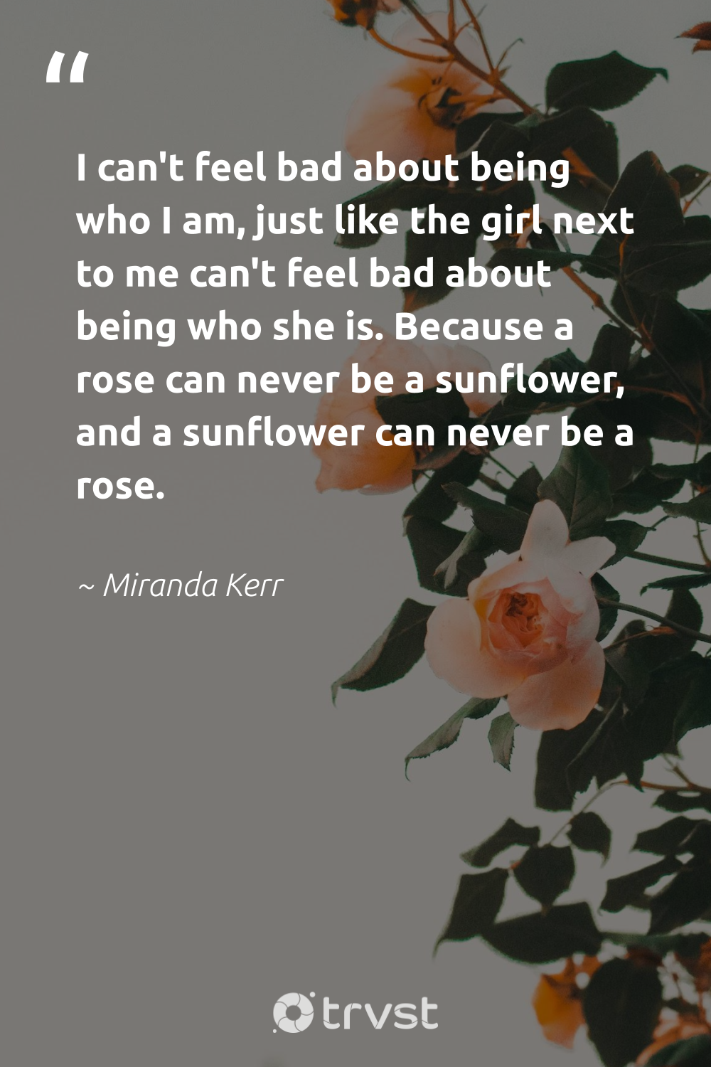 78 Rose Quotes About Natural Beauty, Love and Thorns