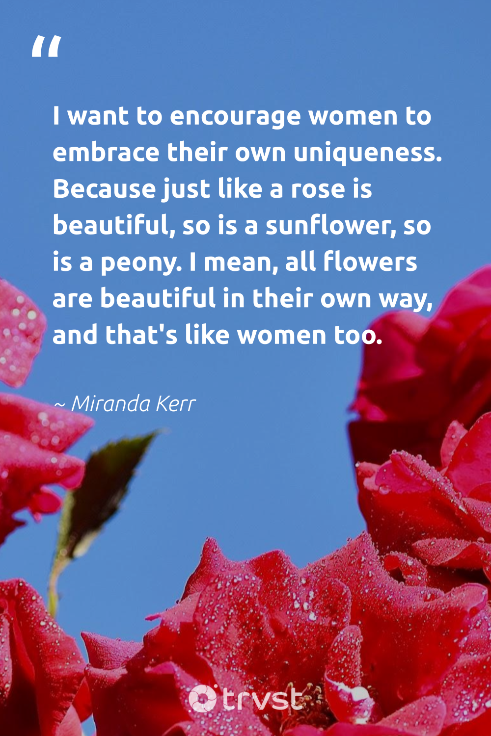 78 Rose Quotes About Natural Beauty, Love and Thorns