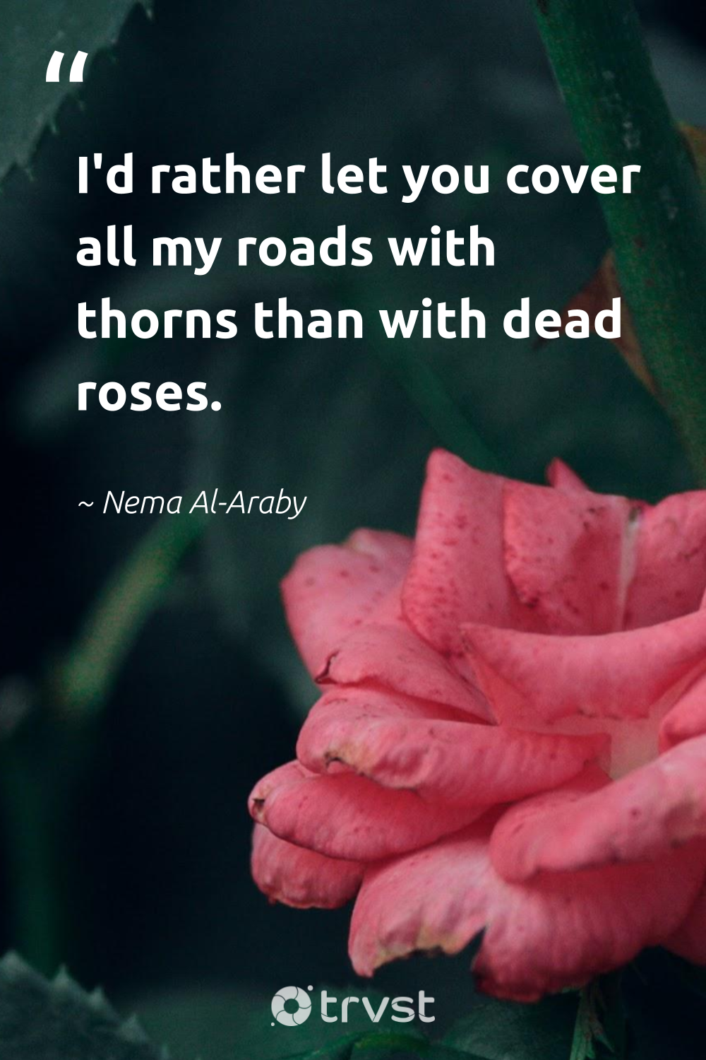 78 Rose Quotes About Natural Beauty, Love and Thorns
