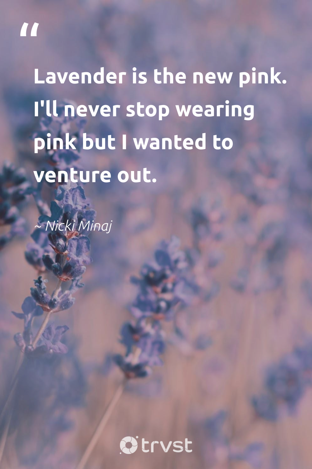 64 Pink Quotes for Appreciation and Empowerment (2024)