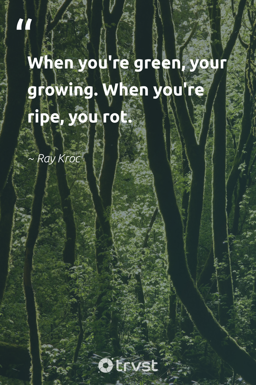 77 Green Quotes Inspiring Renewal & Conservation (2025)