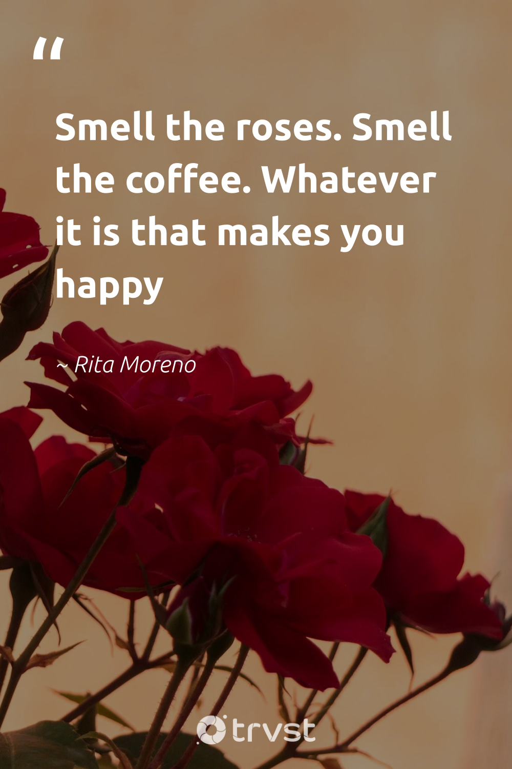 78 Rose Quotes About Natural Beauty, Love and Thorns