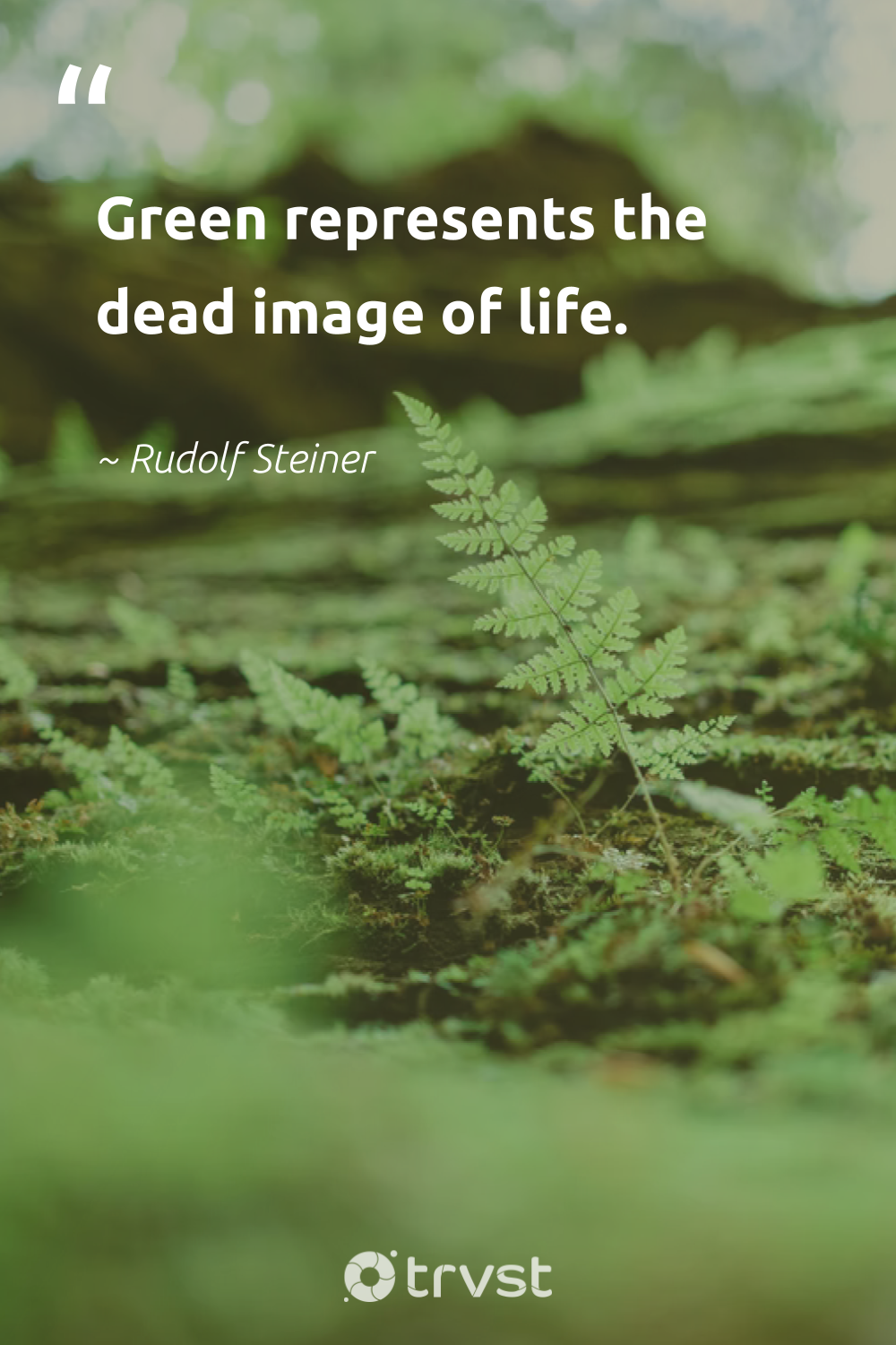 77 Green Quotes Inspiring Renewal & Conservation (2024)