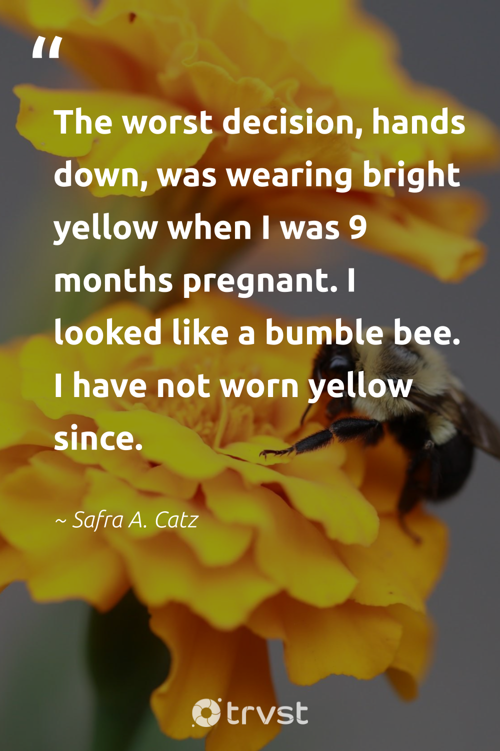 50 Yellow Quotes For Brighter Days and Sunny Inspiration (2024)