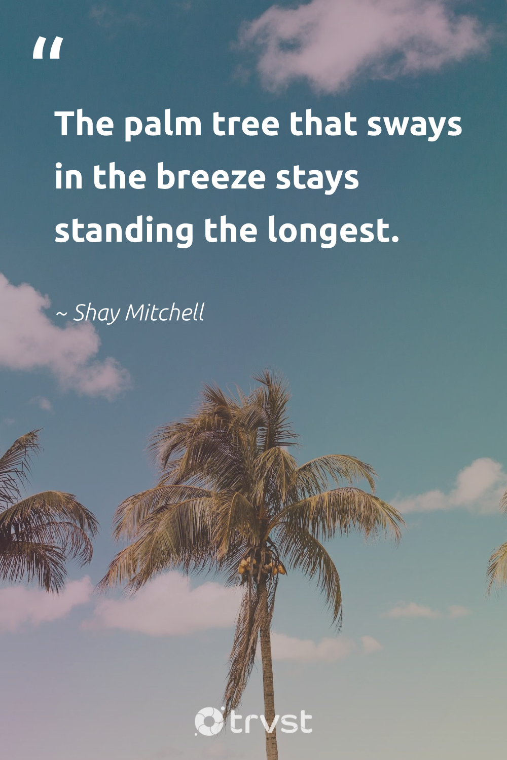 46 Palm Tree Quotes to Inspire Chilled Moments and Beach Time