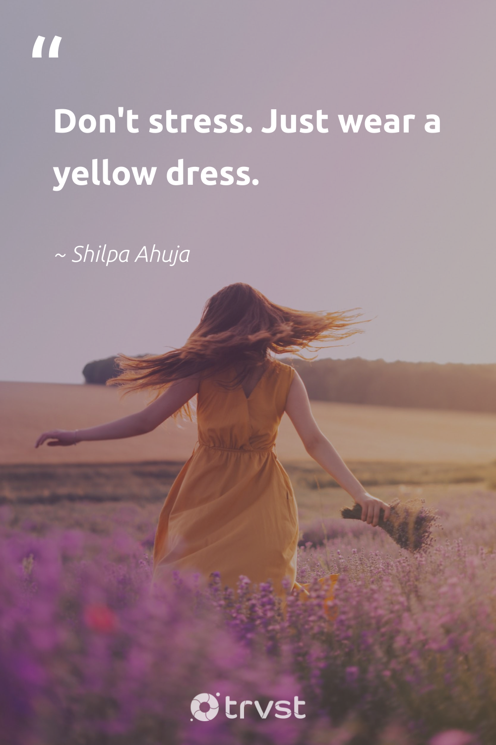 50 Yellow Quotes For Brighter Days and Sunny Inspiration (2024)