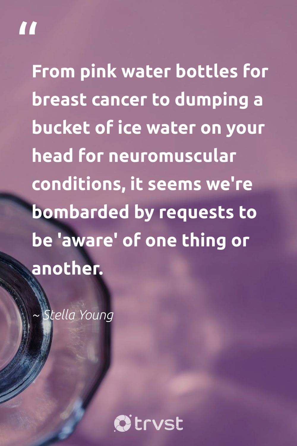 64 Pink Quotes for Appreciation and Empowerment (2025)