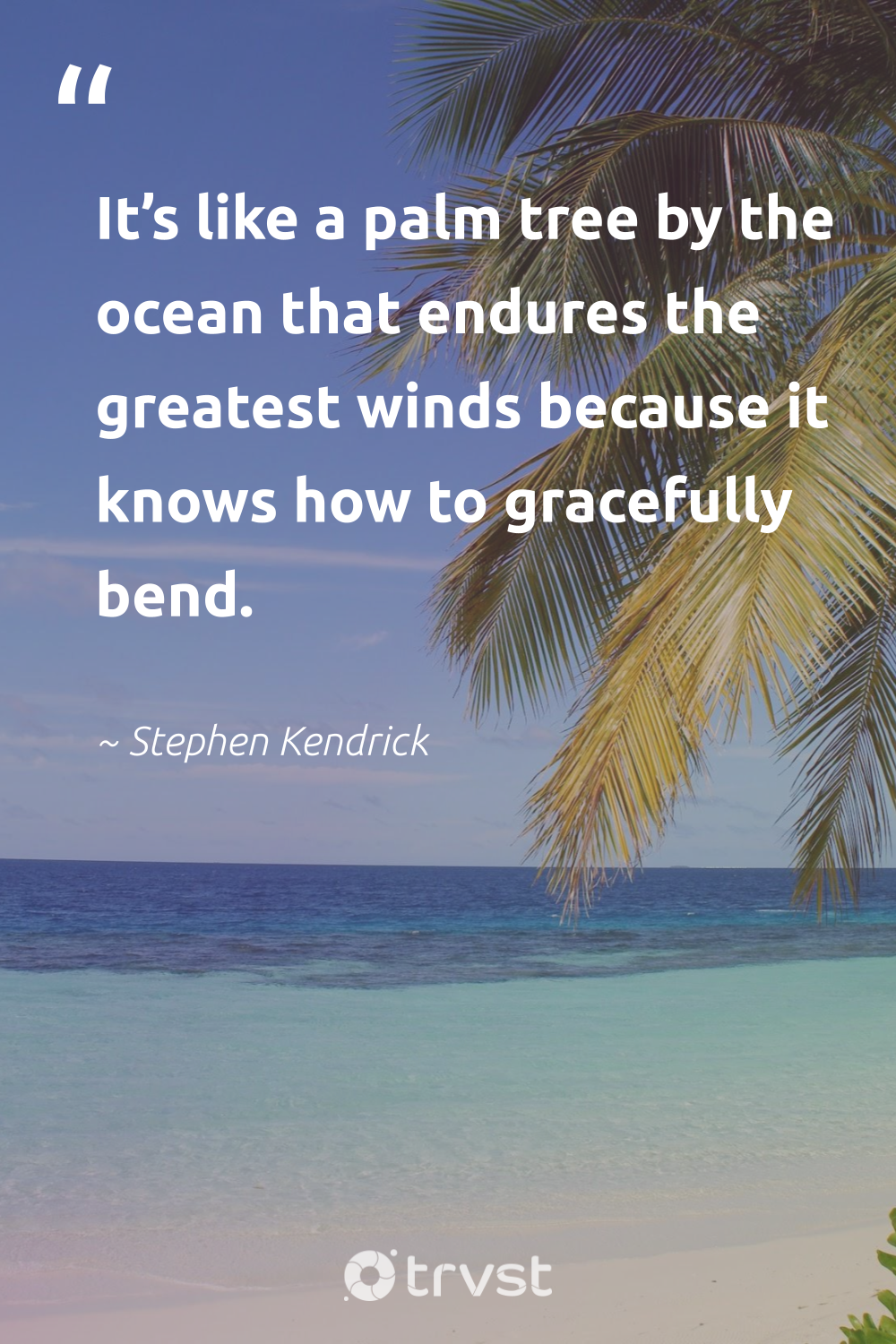 46 Palm Tree Quotes to Inspire Chilled Moments and Beach Time