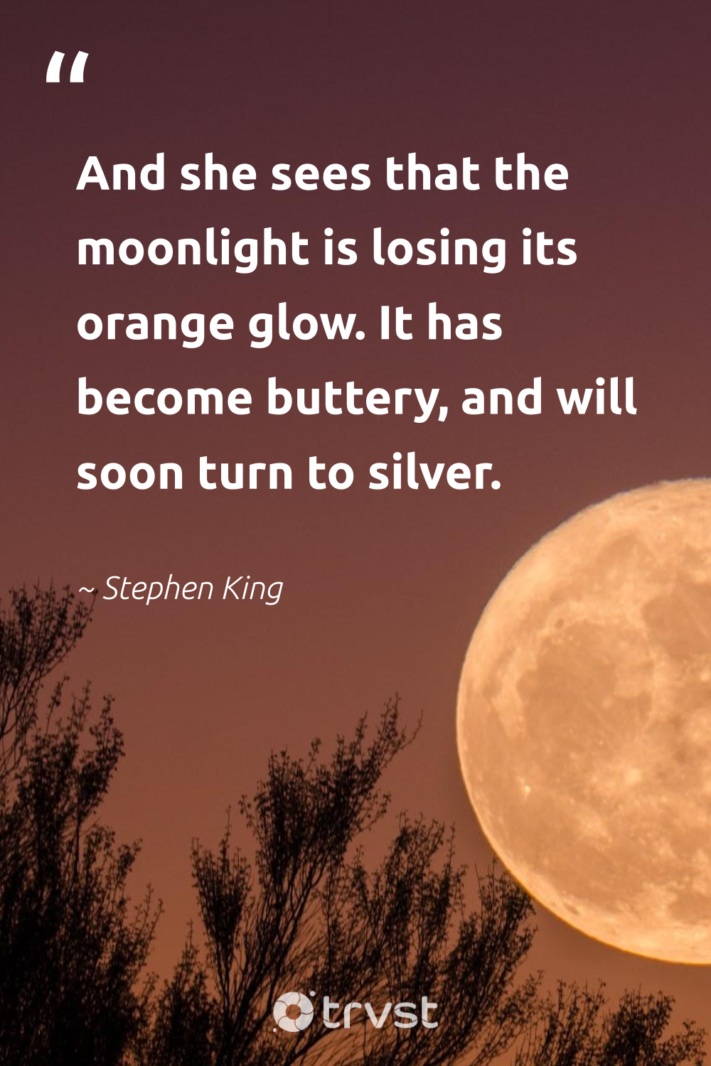 57 Orange Quotes to Inspire a Positive Outlook (2025)