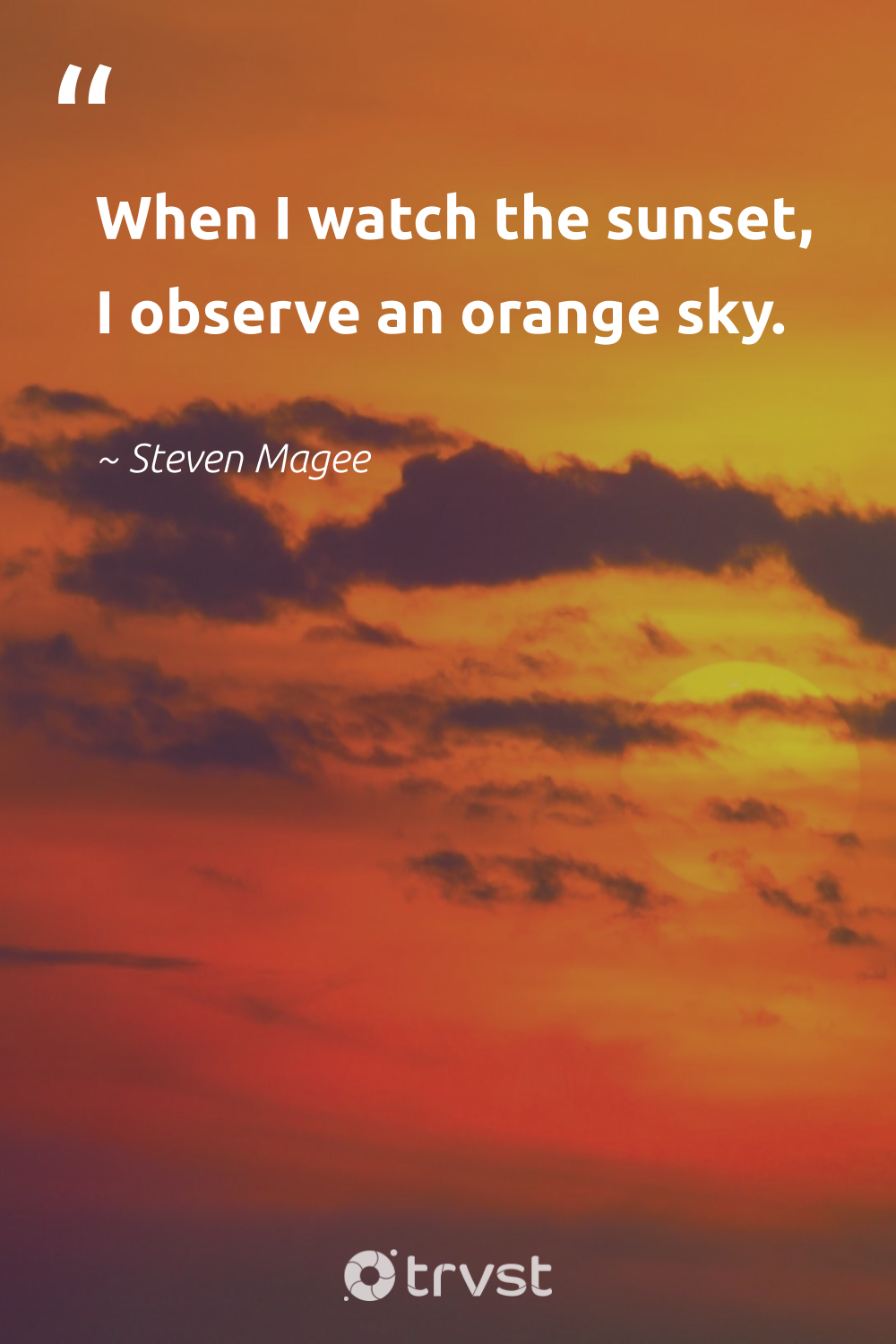 57 Orange Quotes to Inspire a Positive Outlook (2025)