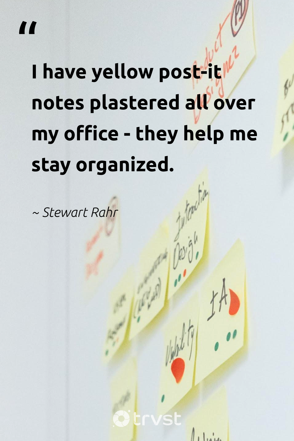 50 Yellow Quotes For Brighter Days and Sunny Inspiration (2025)