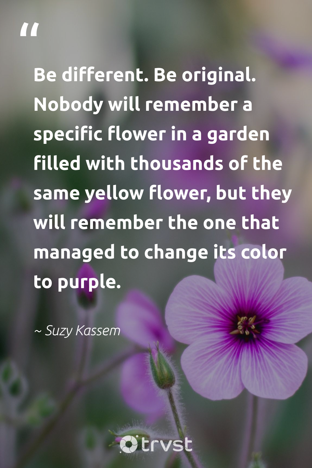 57 Purple Quotes for Life, Fashion, and Motivation (2025)