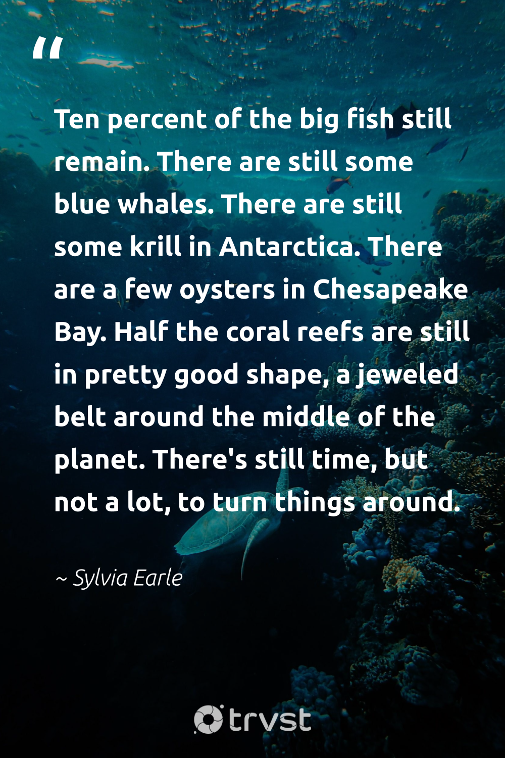 70 Blue Quotes Inspiring Tranquility and Reflections in Life (2025)