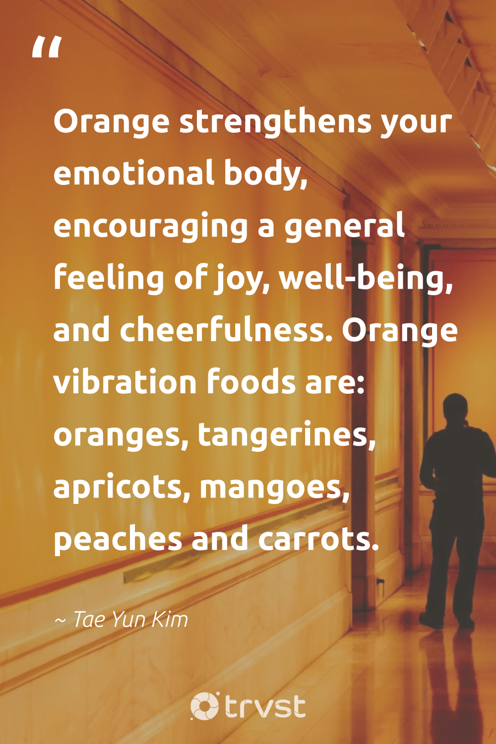 57 Orange Quotes to Inspire a Positive Outlook (2025)