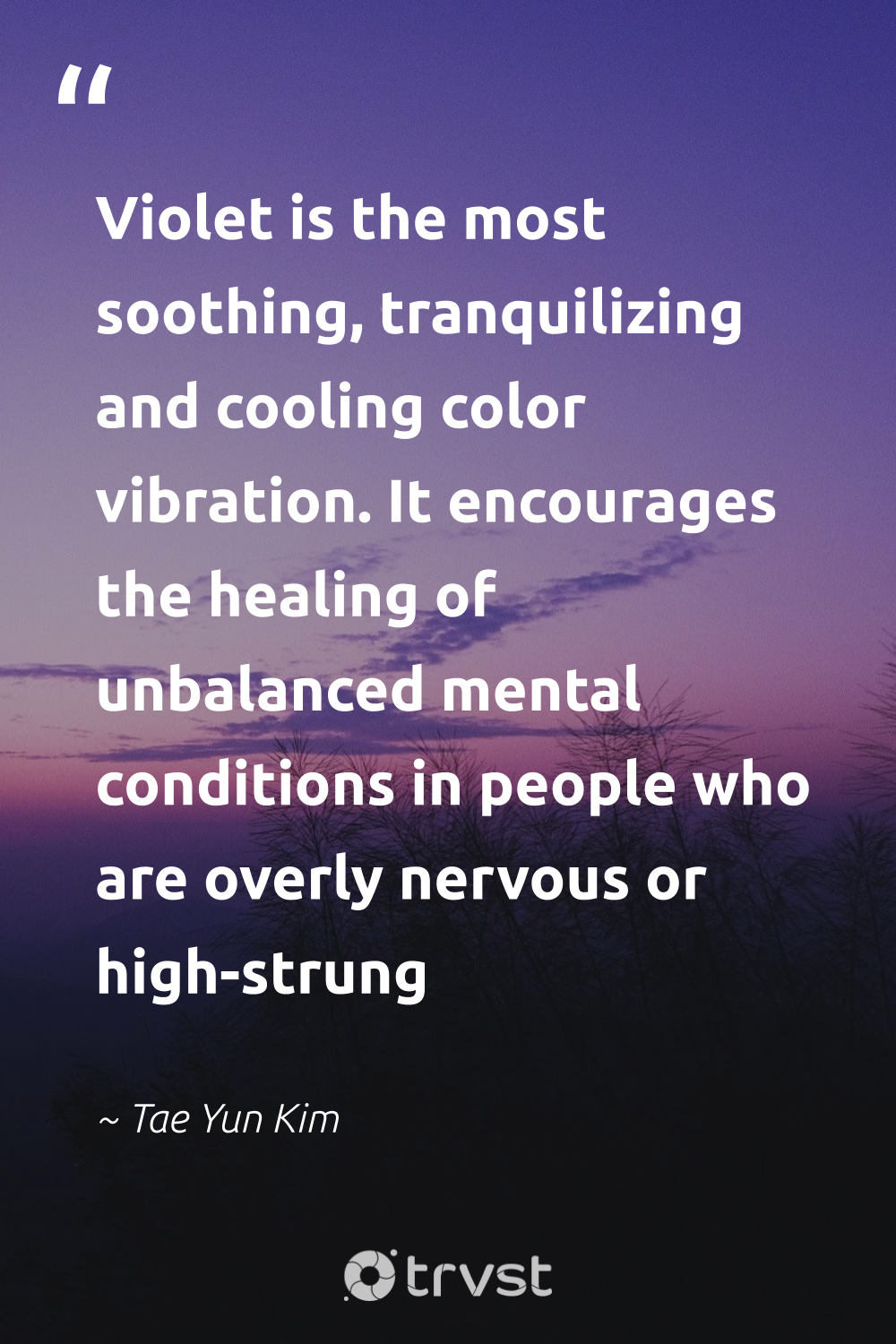 57 Purple Quotes for Life, Fashion, and Motivation (2025)