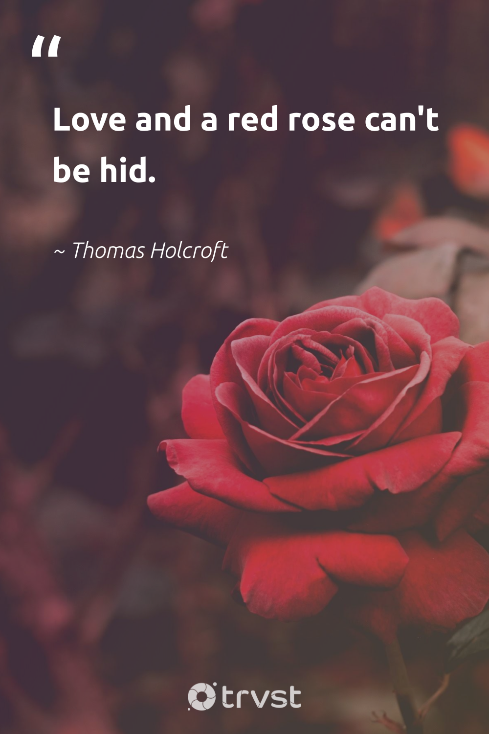 76 Red Quotes Inspiring the Passionate Side of Life (2025)