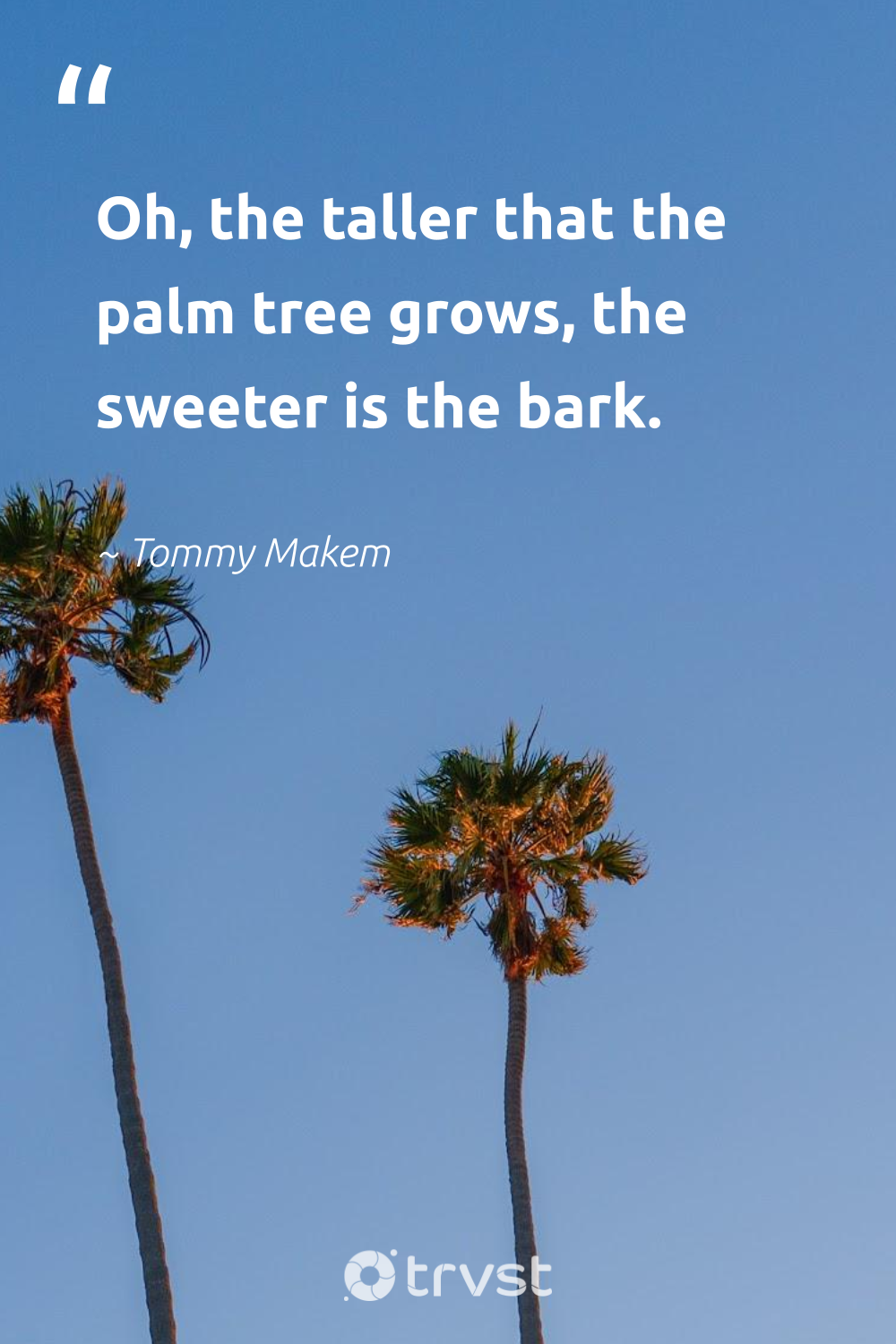 46 Palm Tree Quotes to Inspire Chilled Moments and Beach Time