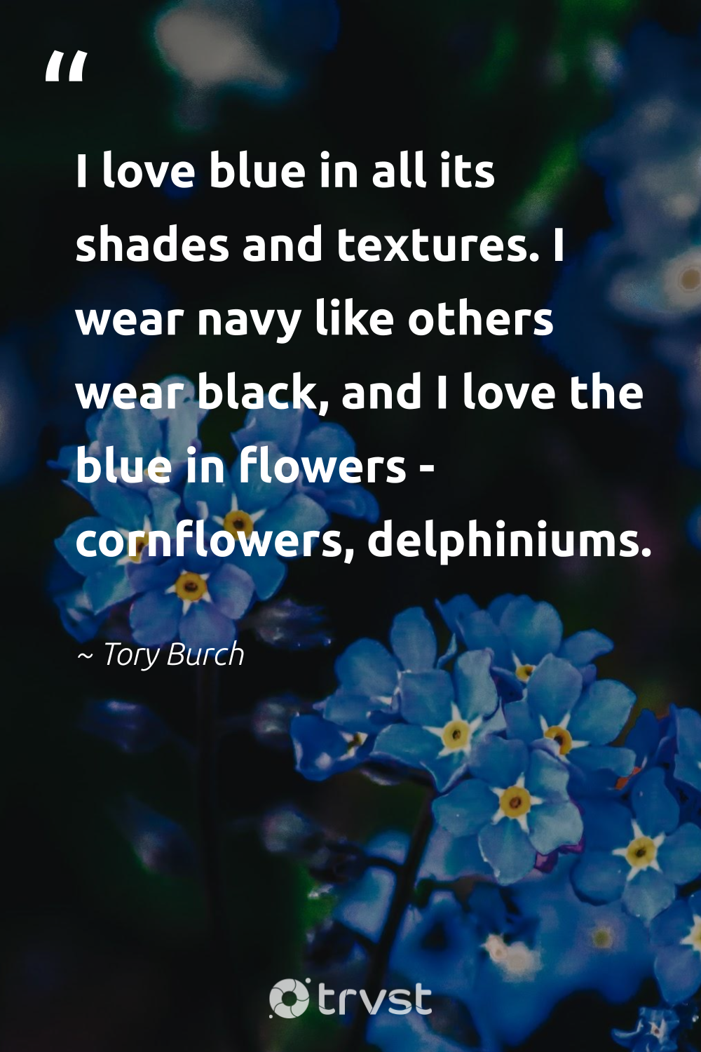 70 Blue Quotes Inspiring Tranquility and Reflections in Life (2024)