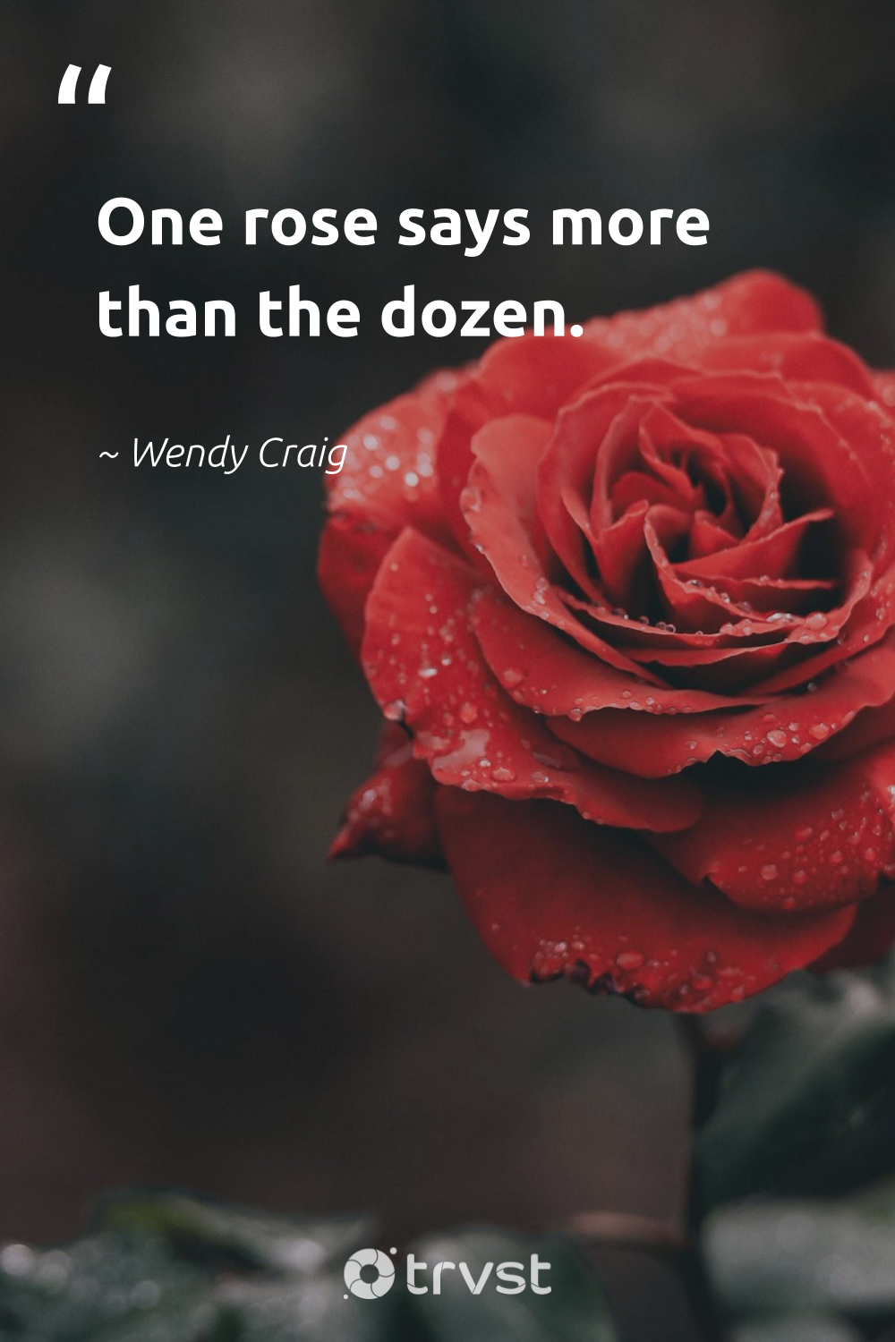 78 Rose Quotes About Natural Beauty, Love and Thorns