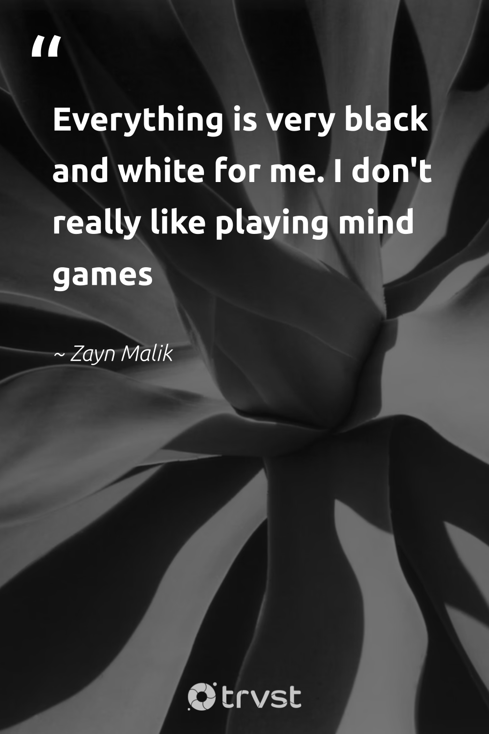 70 Black And White Quotes For Contrast Appreciation (2024)