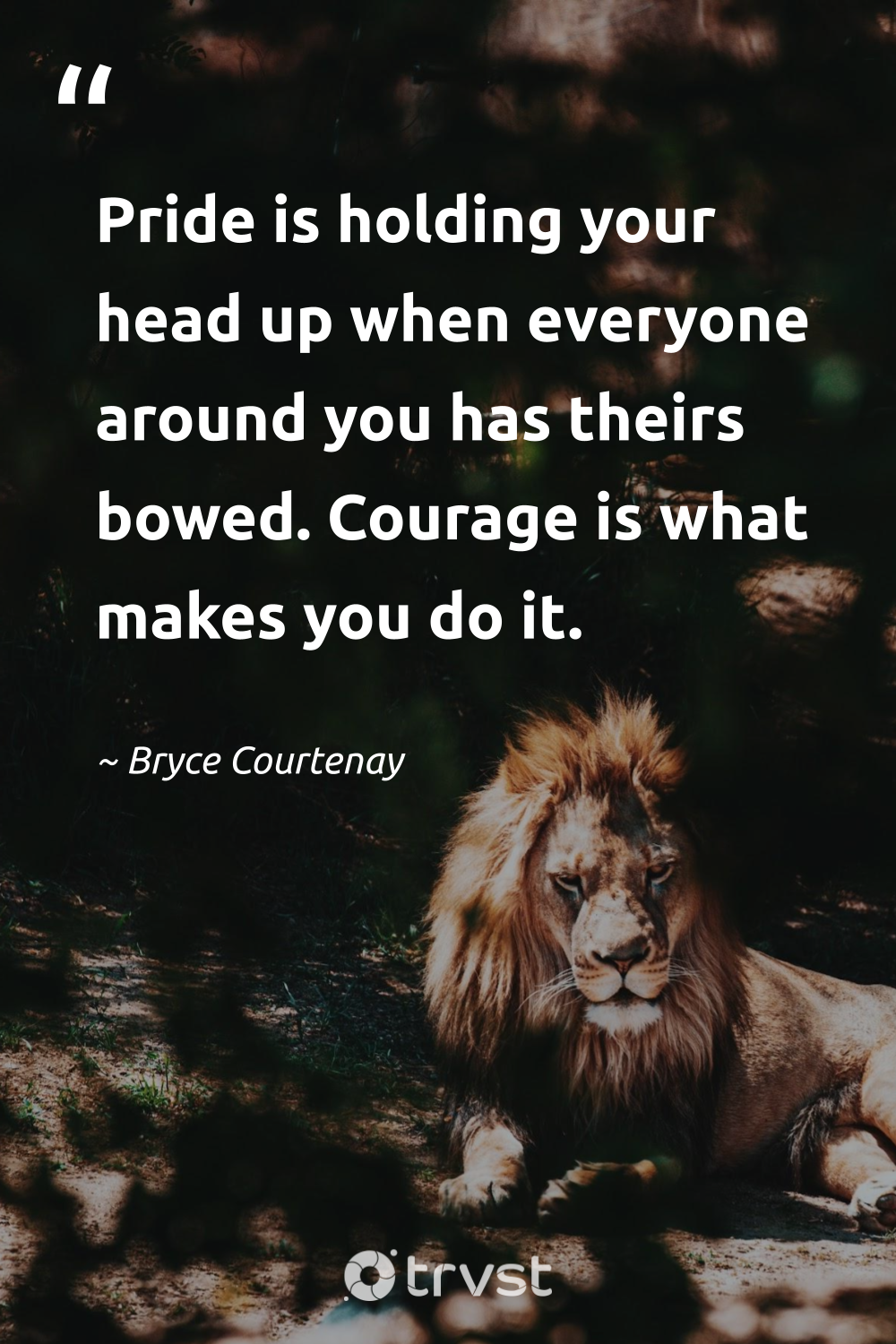 77 Pride Quotes For Self Acceptance And Confidence