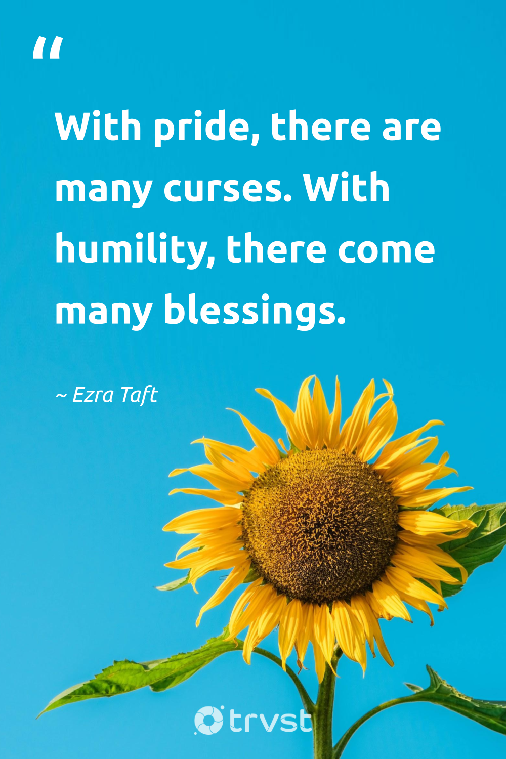 77 Pride Quotes For Self Acceptance And Confidence