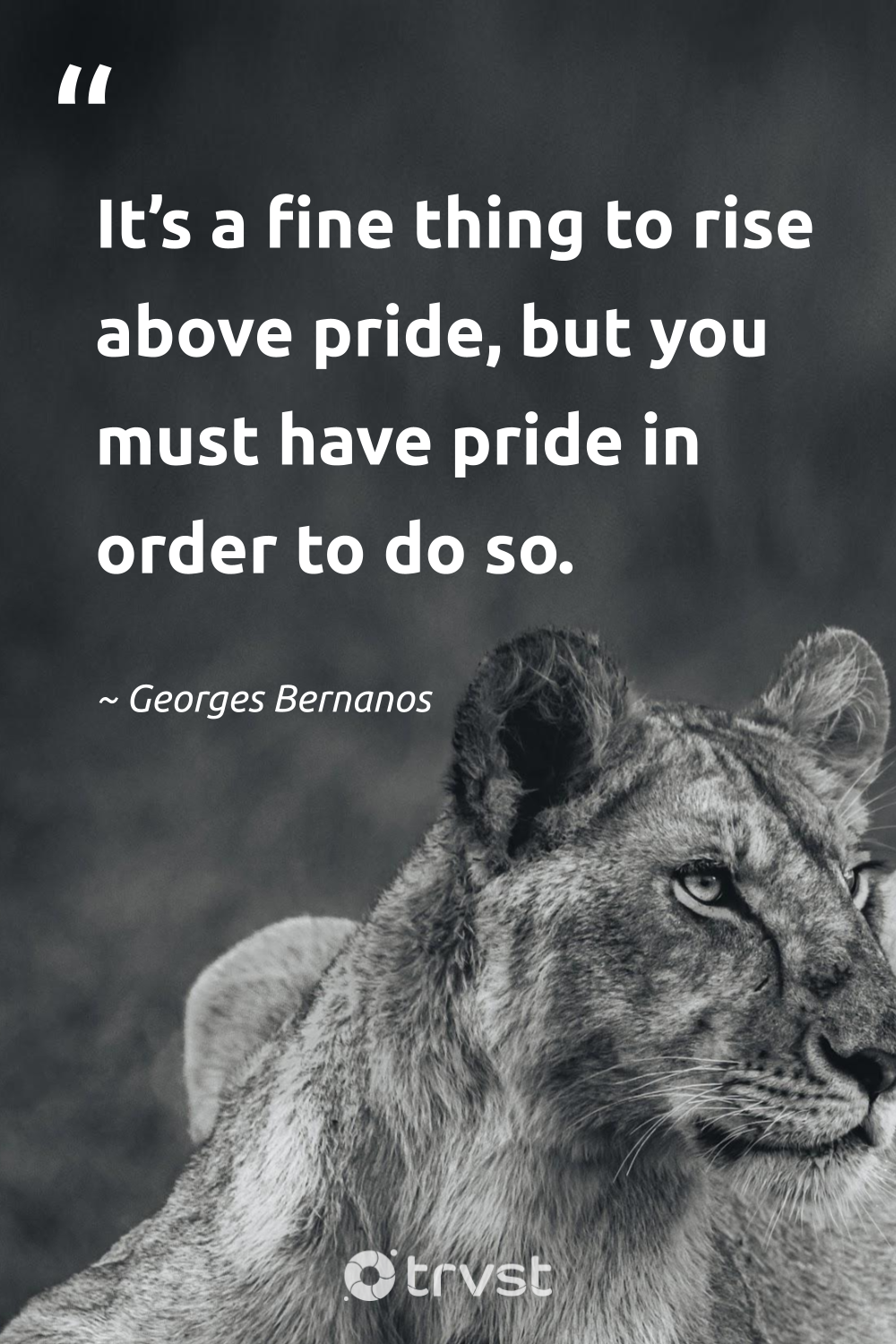 77 Pride Quotes For Self Acceptance And Confidence