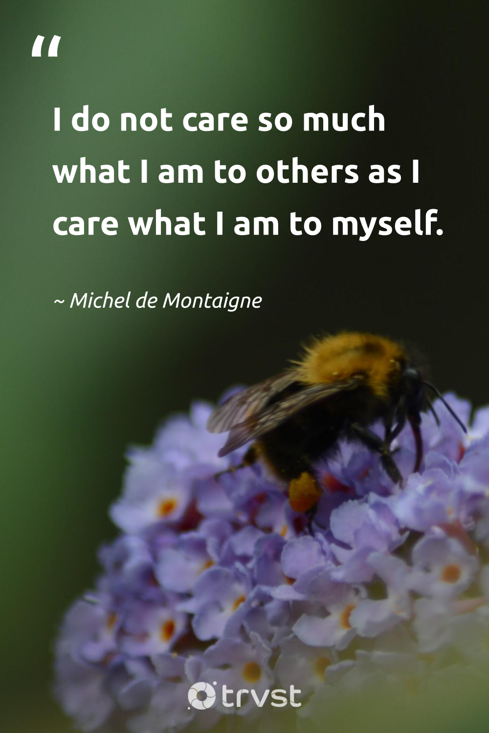 77 Pride Quotes For Self Acceptance And Confidence