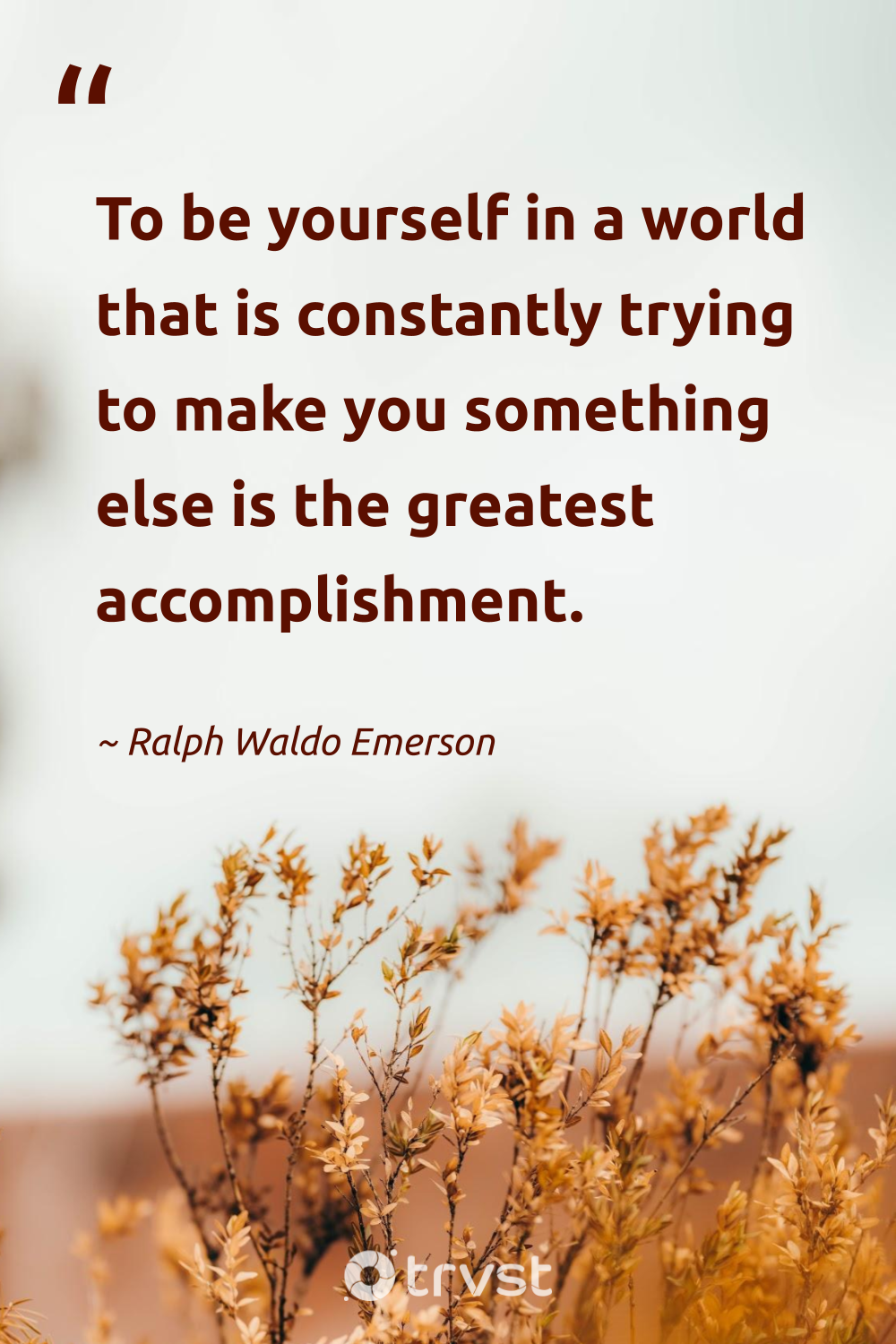 77 Pride Quotes For Self Acceptance And Confidence