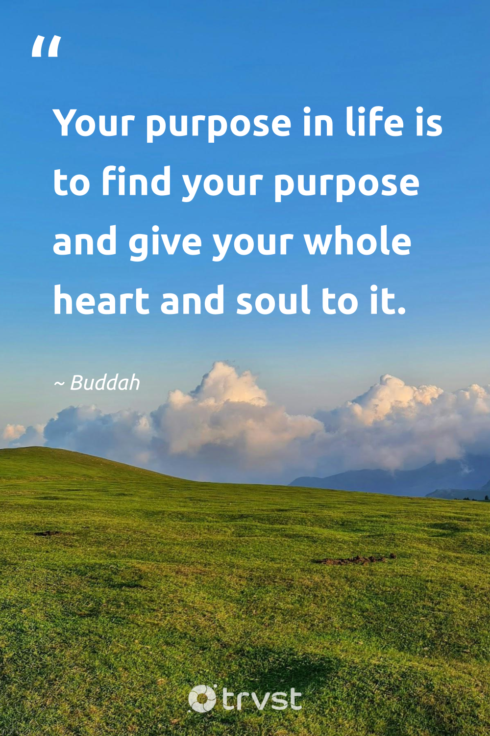 40 Purpose Quotes Unlocking A Fulfilling Life