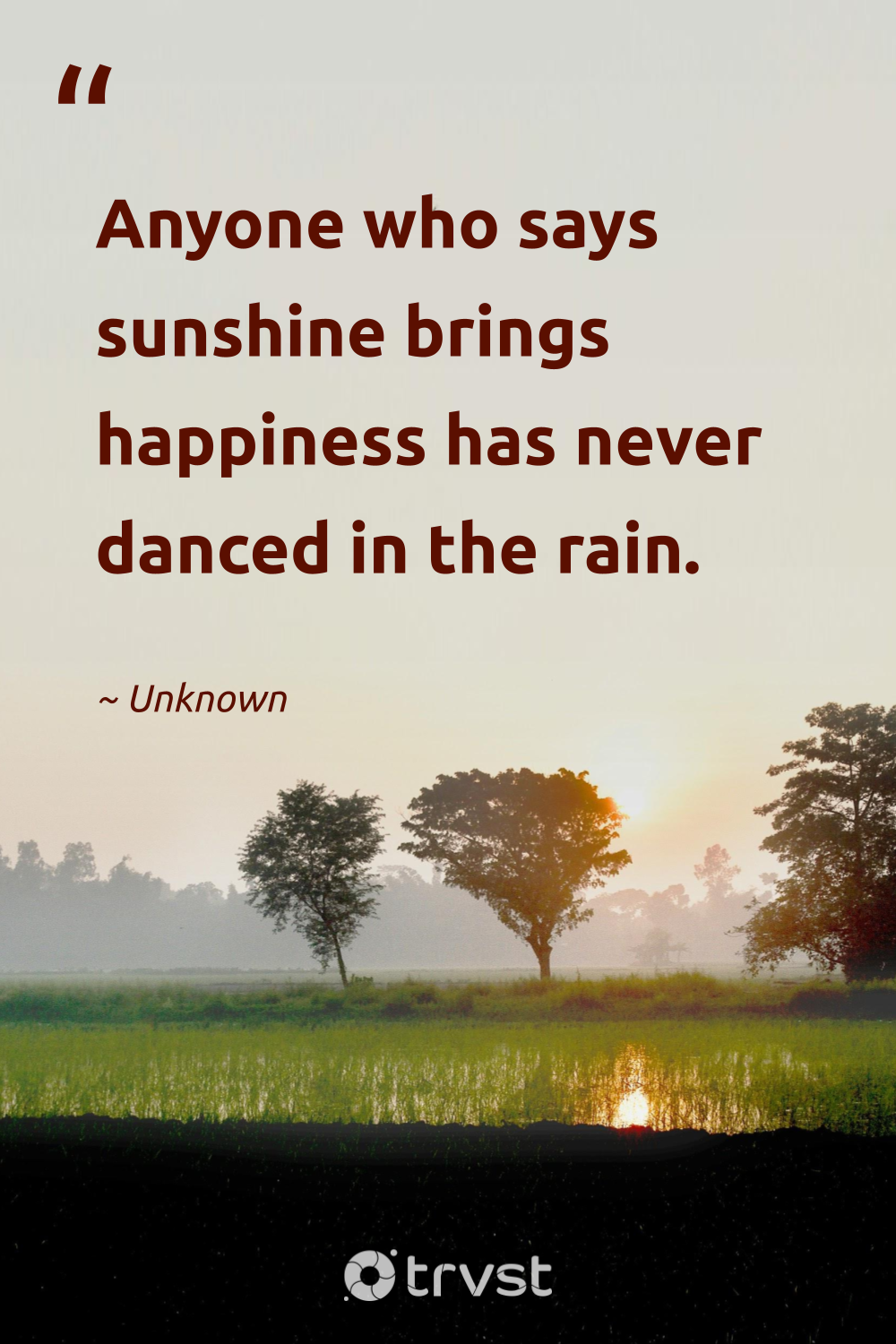 60 Rainy Day Quotes To Read To Set The Mood