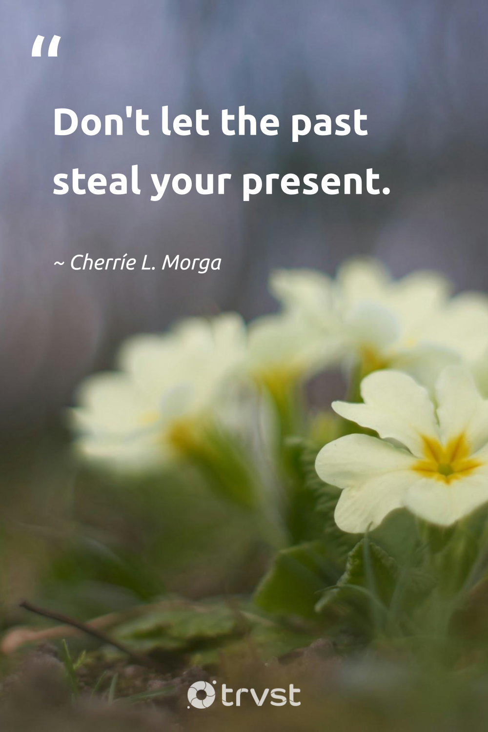 59 Recovery Quotes Inspiring The Road To Healing (2024)