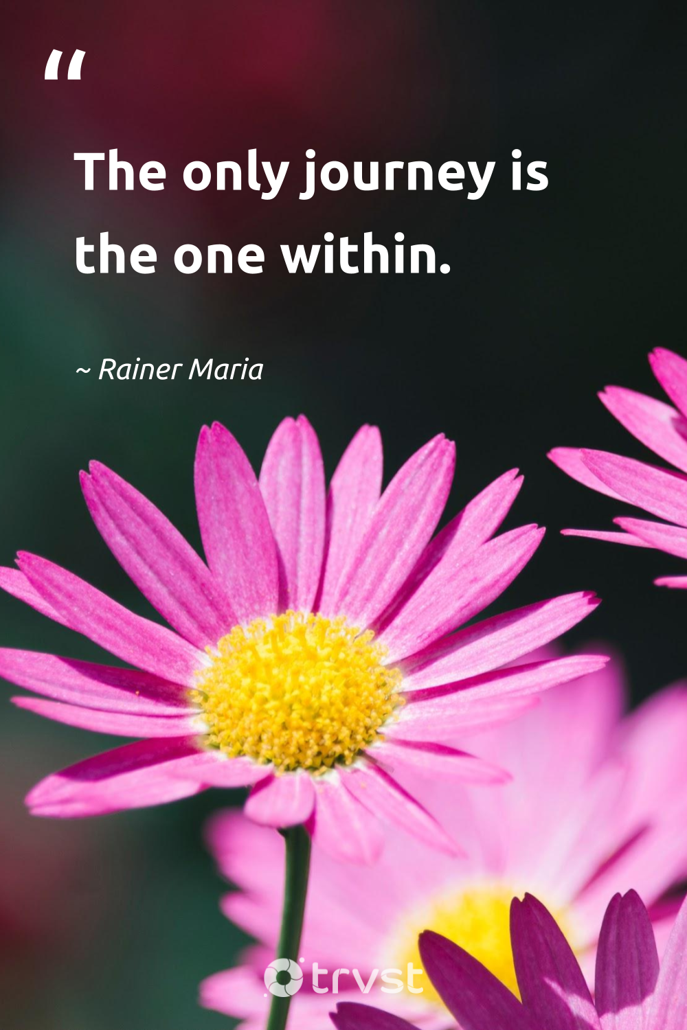 59 Recovery Quotes Inspiring The Road To Healing (2025)