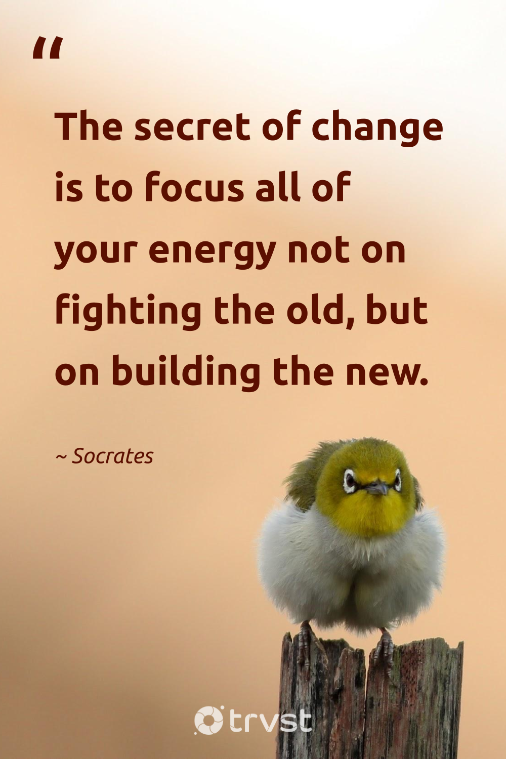 59 Recovery Quotes Inspiring The Road To Healing (2024)