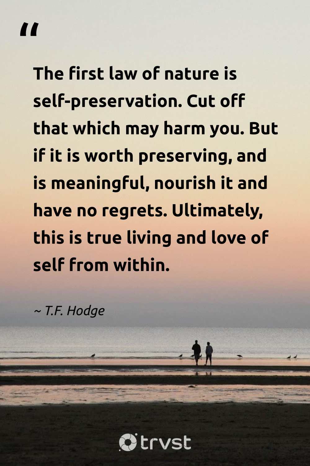 40 Regret Quotes Inspiring Acceptance And Growth