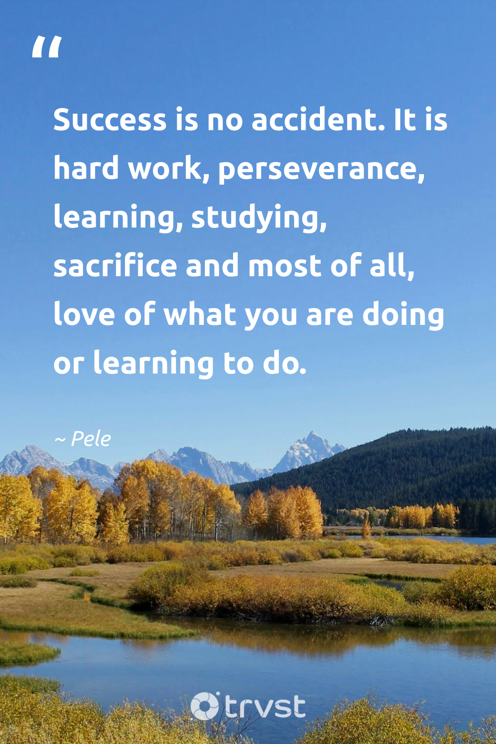 53 Sacrifice Quotes That Resonate Deeply