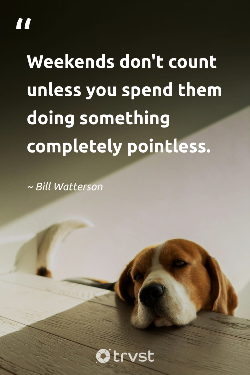 64 Saturday Quotes and Sayings to Welcome the Weekend