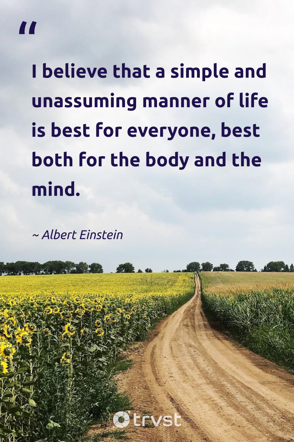 52 Simple Life Quotes About Living More With Less (2025)