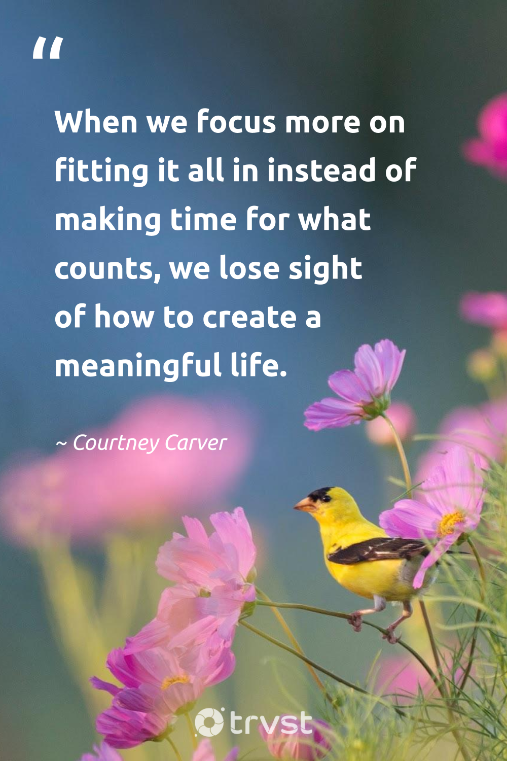 52 Simple Life Quotes About Living More With Less (2025)