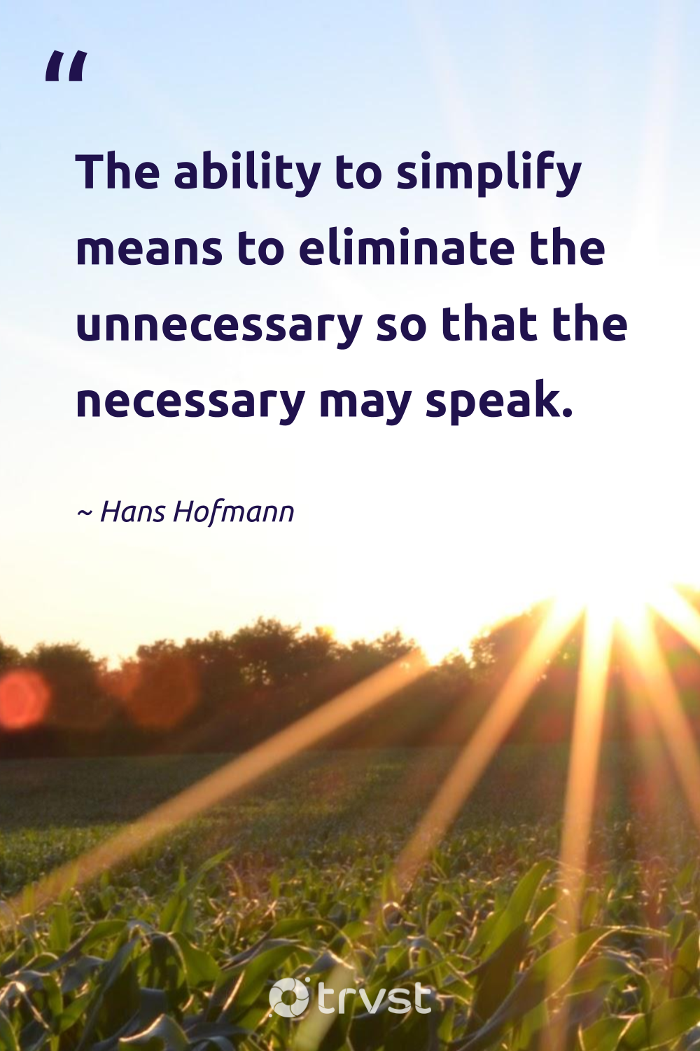 52 Simple Life Quotes About Living More With Less (2024)