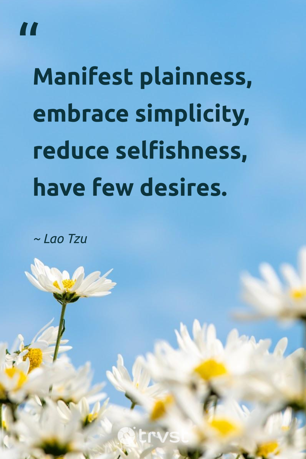 52 Simple Life Quotes About Living More With Less (2025)