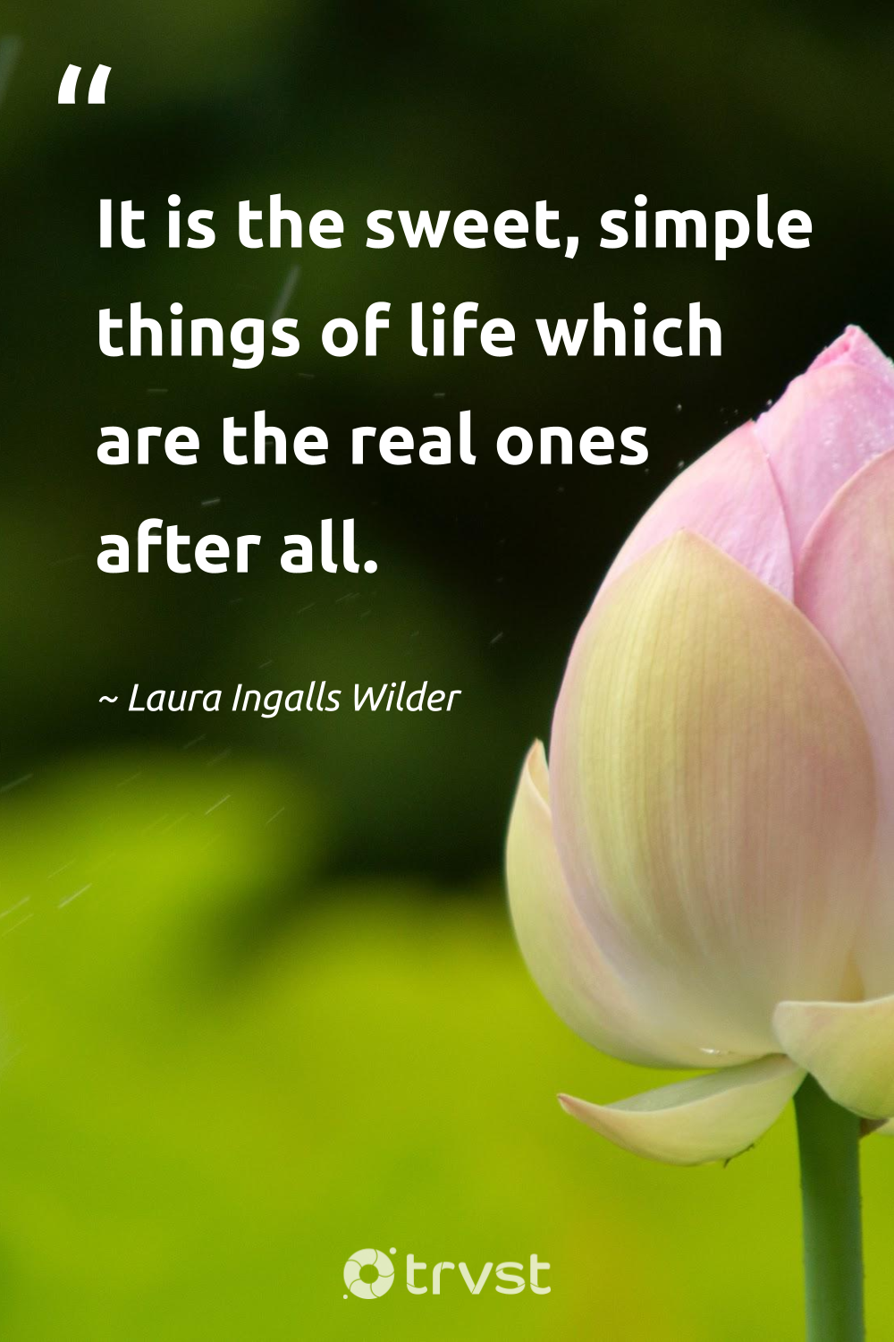 52 Simple Life Quotes About Living More With Less (2024)