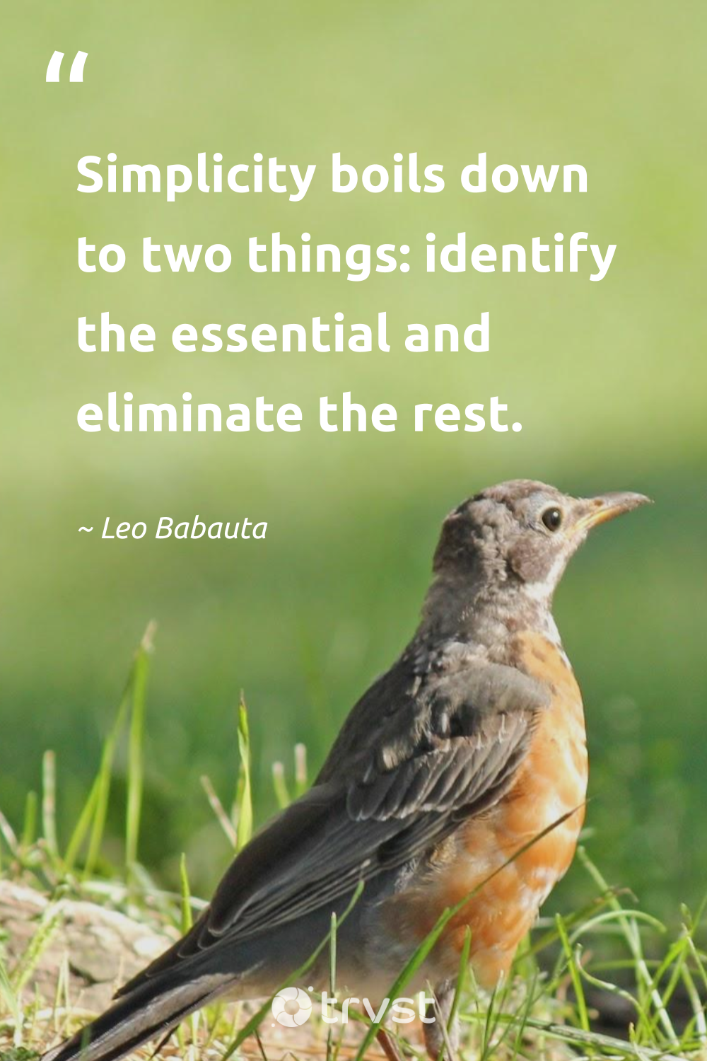 52 Simple Life Quotes About Living More With Less (2025)