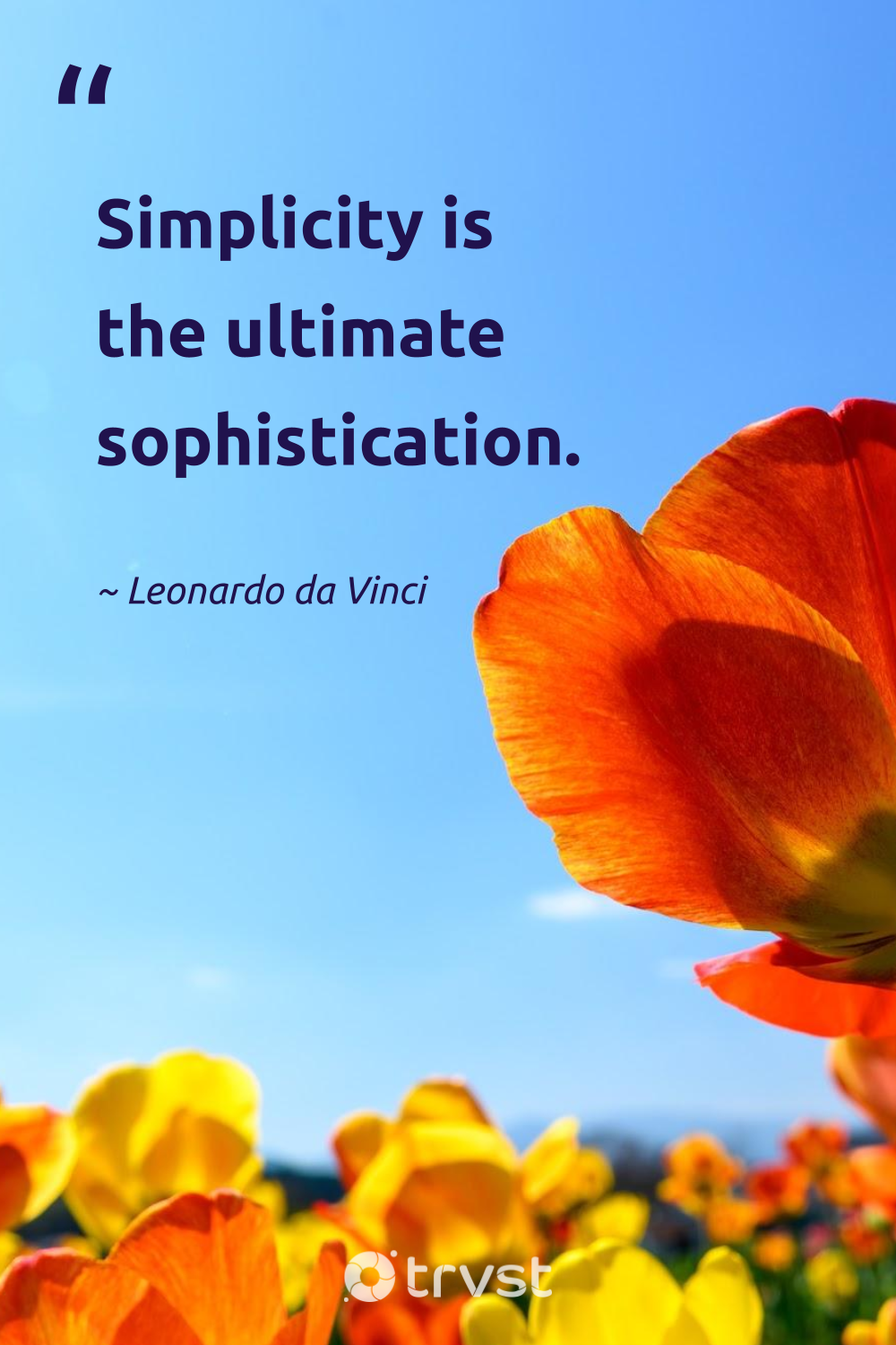 52 Simple Life Quotes About Living More With Less (2024)