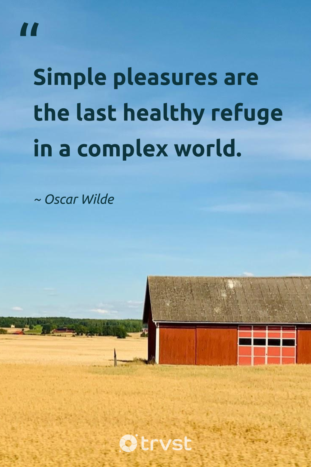 52 Simple Life Quotes About Living More With Less (2025)